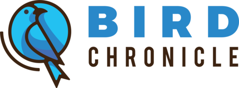 34 Birds That Start With C (With Pictures)