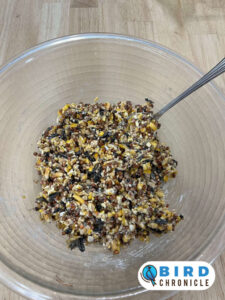 How To Make A Hanging Suet Bird Feeder (With Tips For Success!)