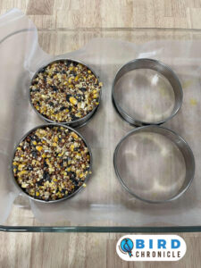 How To Make A Hanging Suet Bird Feeder (With Tips For Success!)