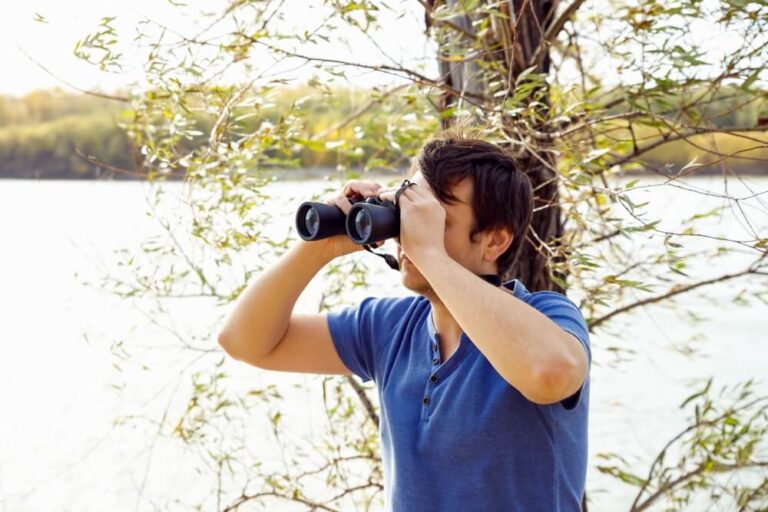 Birdwatching For Beginners: The Ultimate Guide (2026)