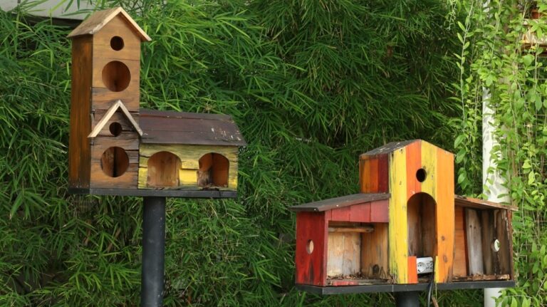 How To Attract Birds To A Nest Box (5 Tips)