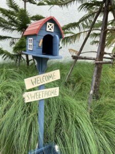 Top 6 Birdhouse Colors That Attract Birds (Choose These!)