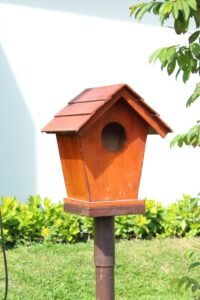 Top 6 Birdhouse Colors That Attract Birds (Choose These!)